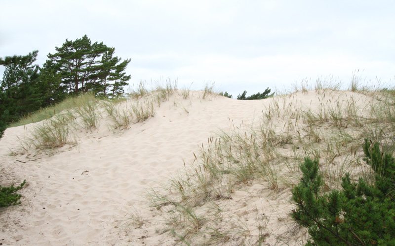 Att göra på Fårö - Sudersand Resort - din Camping på Gotland