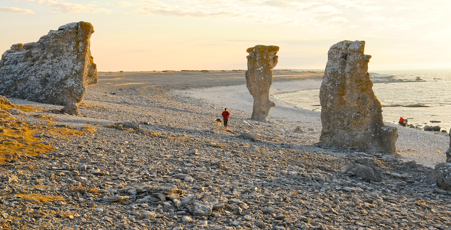 Välkommen till Sudersand Resort på Fårö och Gotland!